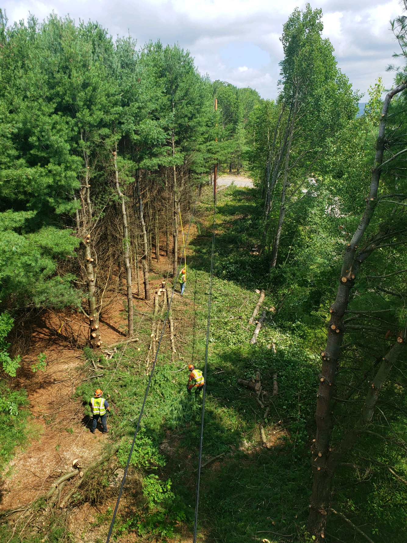 Lineworkers and Line-Clearance Workers: Understanding Their ...